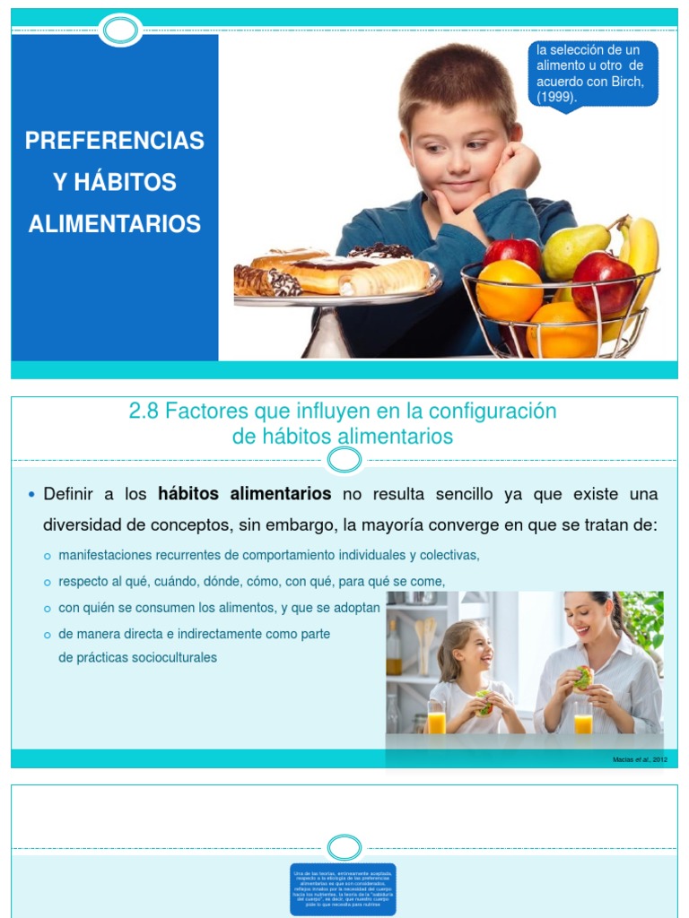 2.4. Preferencias Alimentarias | PDF