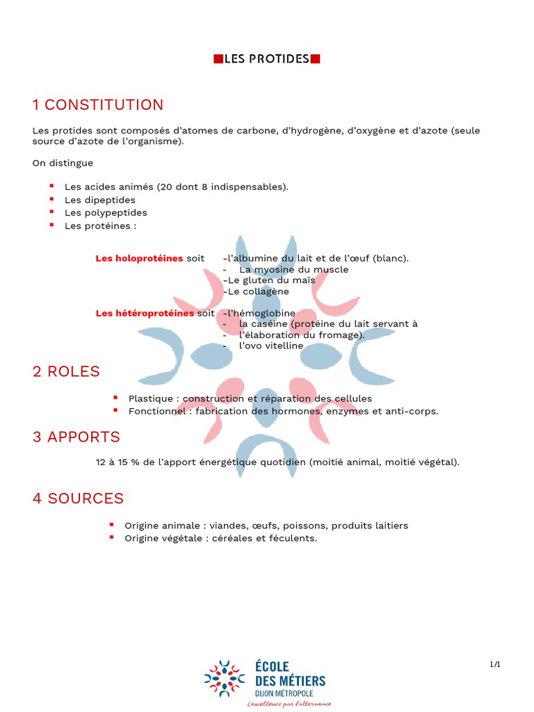 Composition et Rôles des Protides | PDF