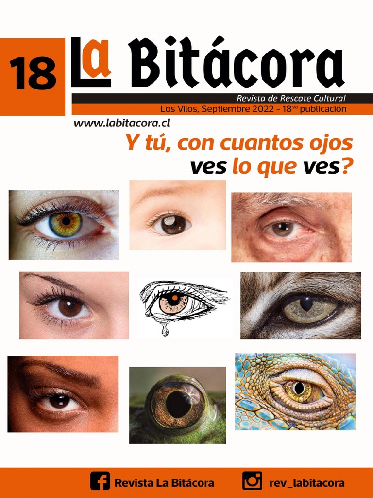 La Bitacora 18 | PDF