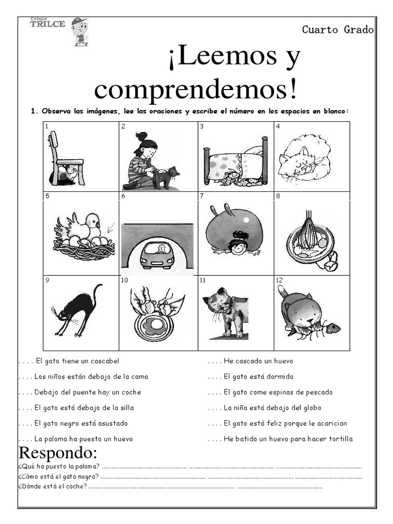 ¡Leemos y Comprendemos!: Respondo | PDF | Pelo | Alfabeto
