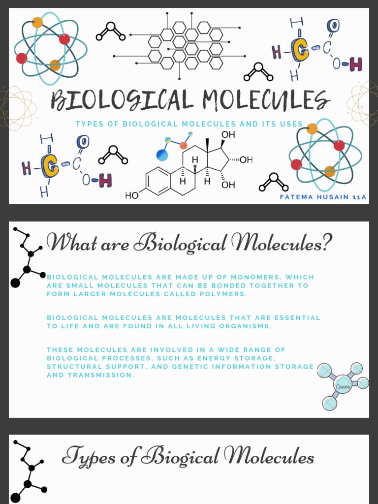 Biological Molecules: Types and Uses (39 | PDF | Biomolecules ...