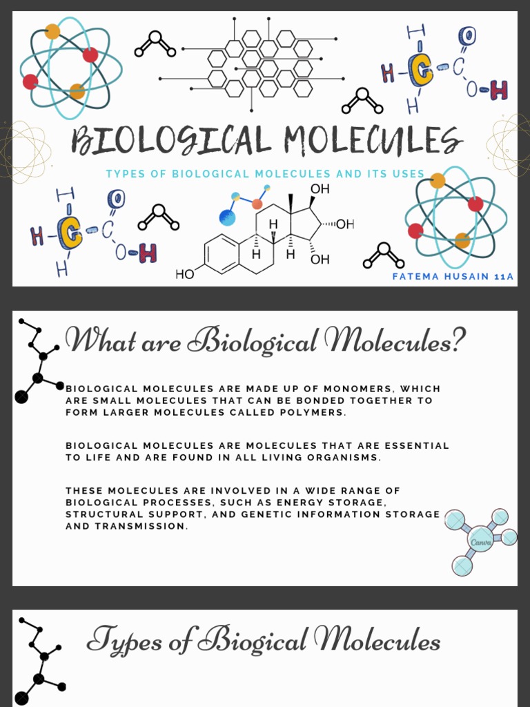 Types of Biological Molecules and Its Uses | PDF | Biomolecules ...