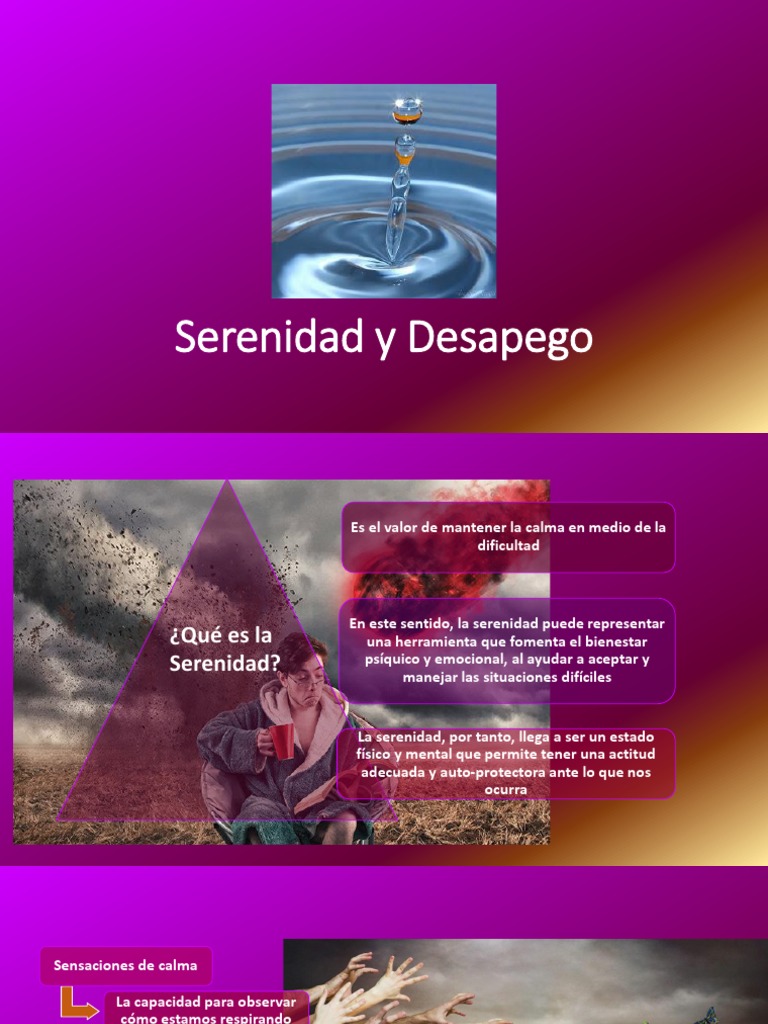 Serenidad y Desapego | PDF | Mente | Las emociones