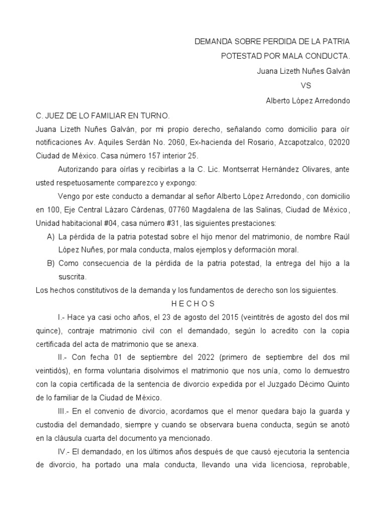 DEMANDA Juicio Sumario Civil | PDF | Principios éticos | Instituciones ...