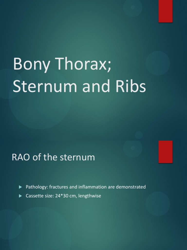 Bony Thorax Sternum and Ribs | PDF | Thorax | Musculoskeletal System