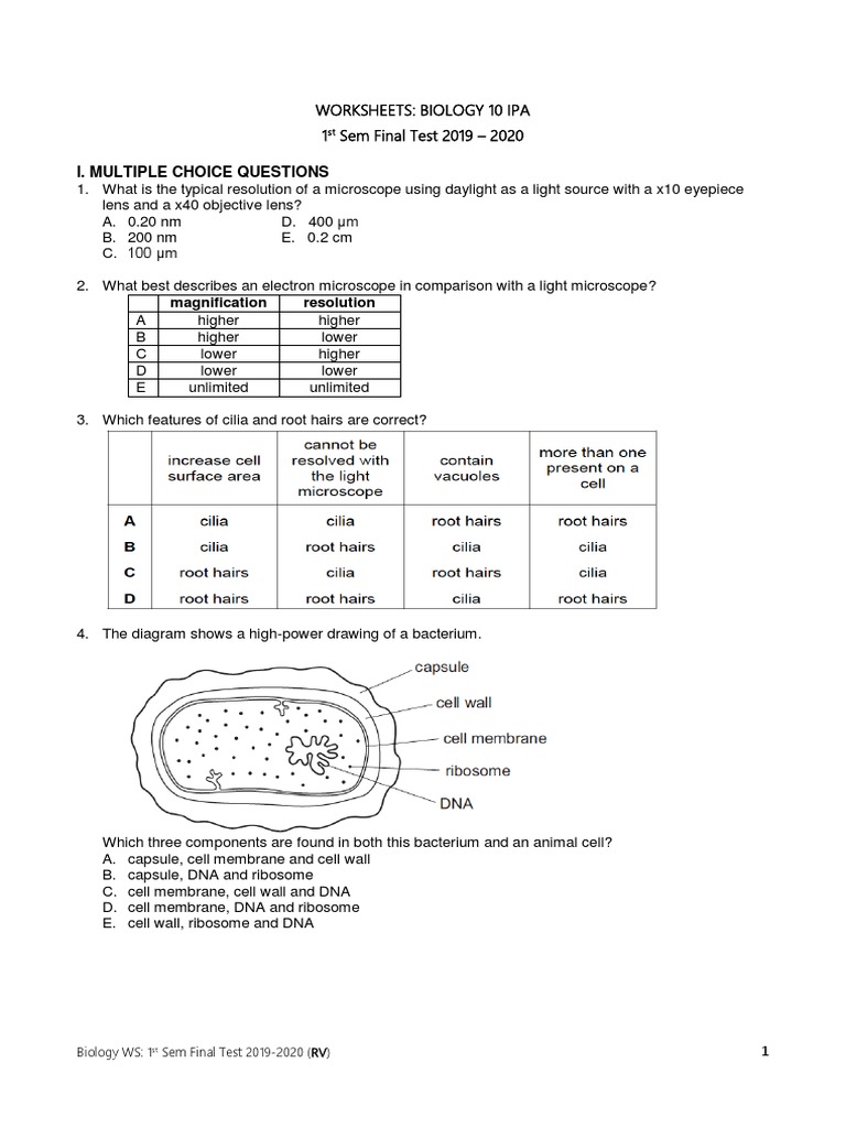 Biology Worksheet: 1st Semester Final Test 2019-2020 | PDF | Ploidy ...