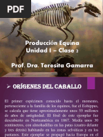 Taxonomía del Caballo: Equus ferus caballus | PDF | Caballos | Équidos