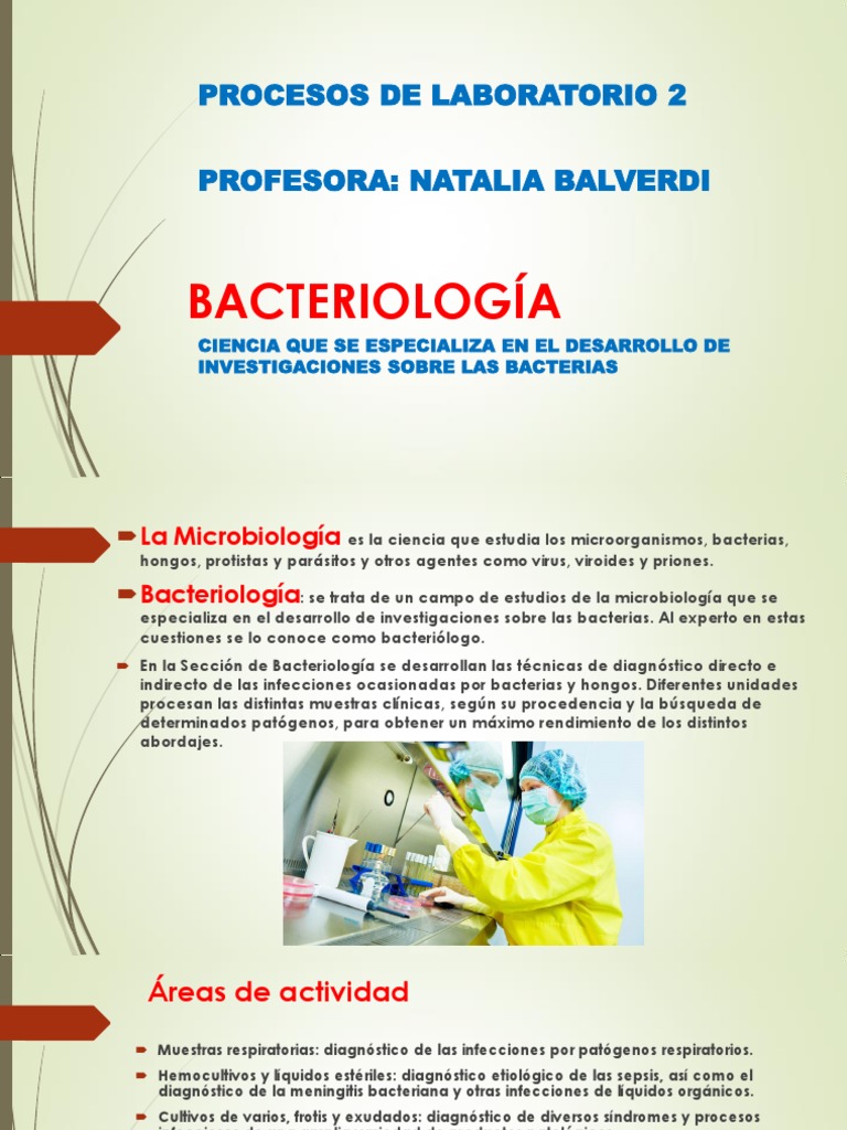 BACTERIOLOGÍA Introducción | PDF | Las bacterias | Infección