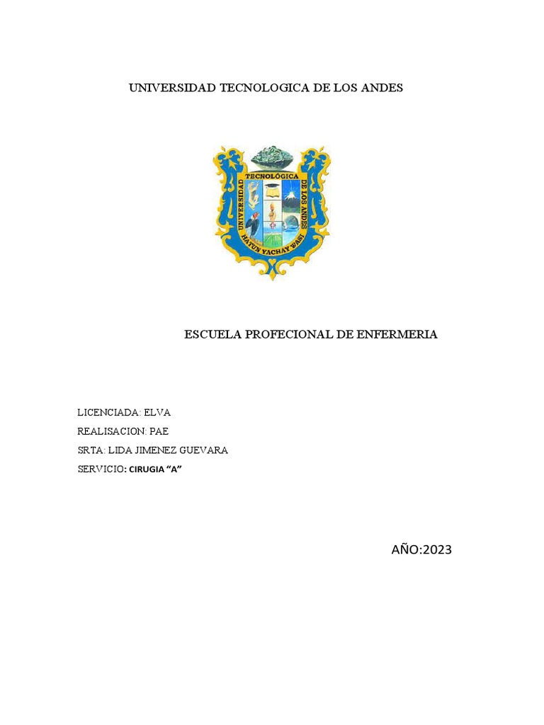 Universidad Tecnologica de Los Andes: Licenciada: Elva Realisacion: Pae ...