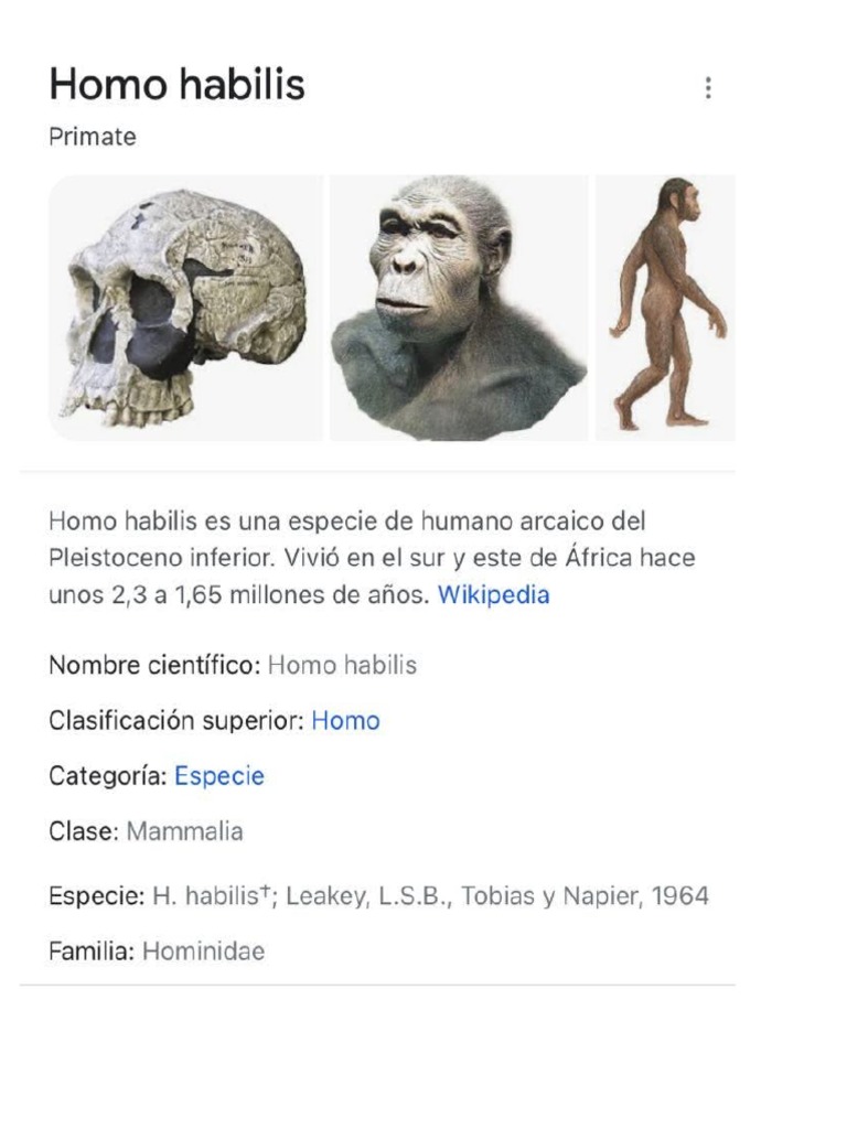 Evolución del género Homo: Habilis a Erectus | PDF | neanderthal ...