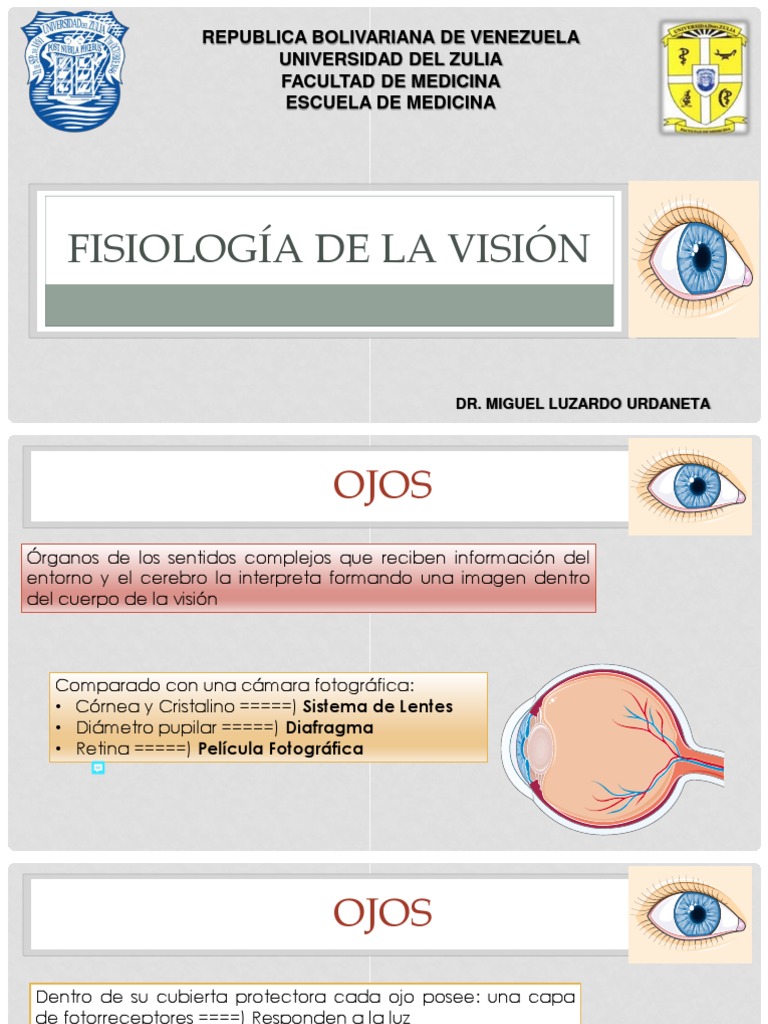 Fisiología de la visión: Anatomía y mecanismos fisiológicos del sistema ...