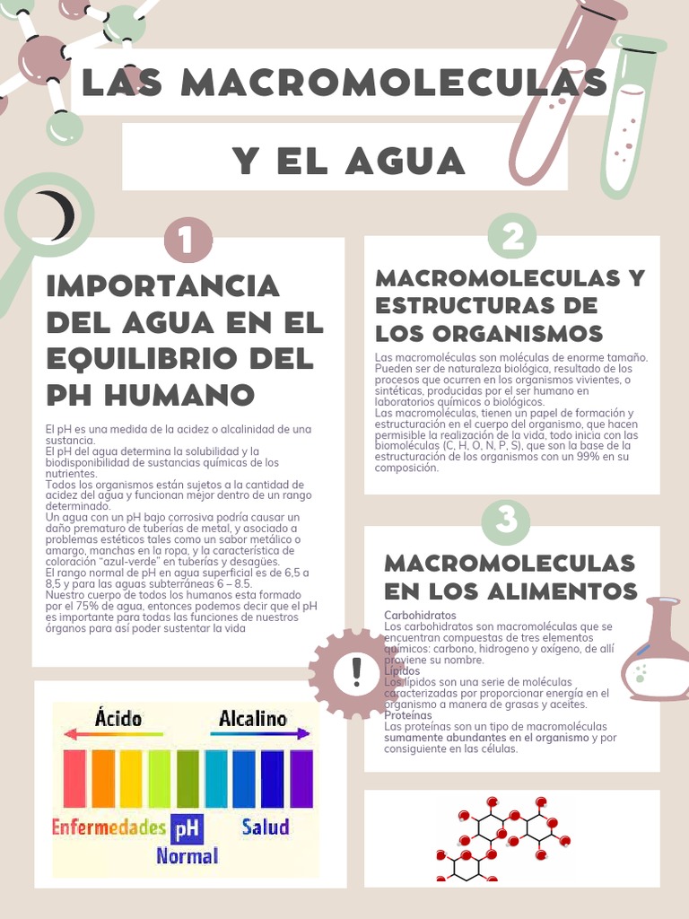 Póster Método Científico Pasos Infografia Escolar Pastel | PDF ...