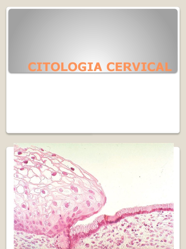 Citología General | Descargar gratis PDF | Epitelio | Biología Celular)