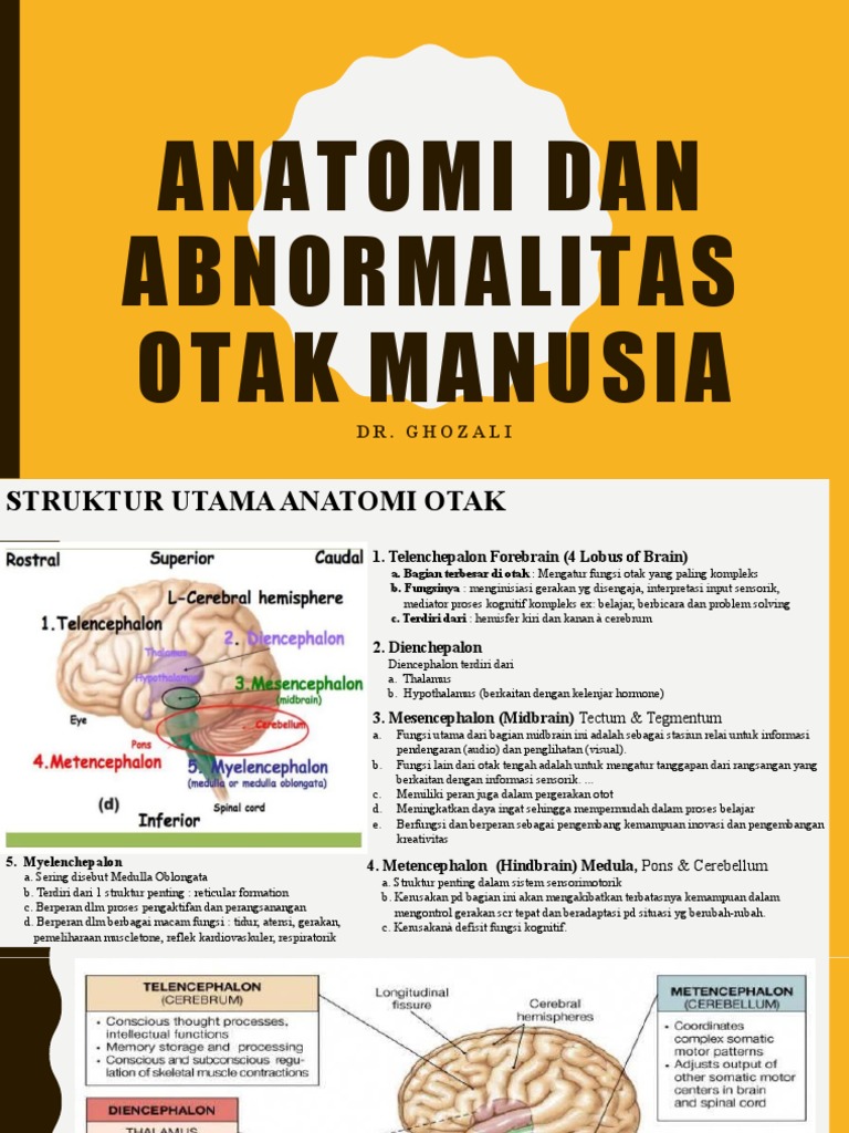 5. ANATOMI ABNORMALITAS OTAK MANUSIA.Additional contentpptx | PDF