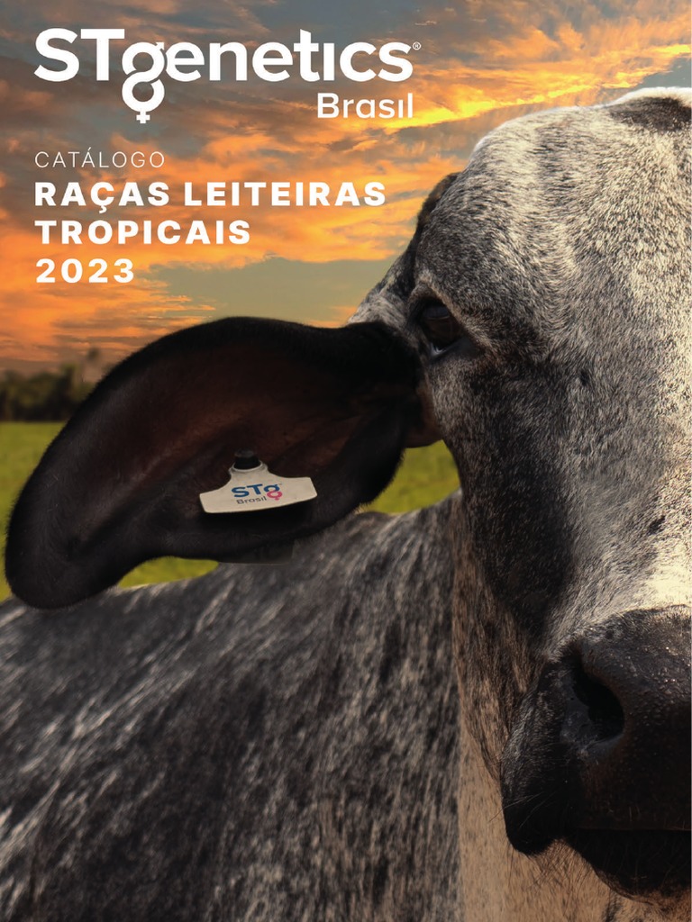 Catalog Tropical STg-Brasil 2023 WEB | PDF | Gado | Leite