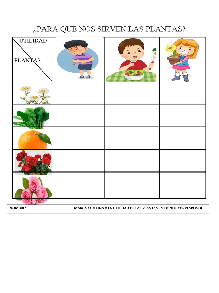 Hoja de Trabajo Utilidad Plantas 7-9 | PDF | Métodos y materiales de ...