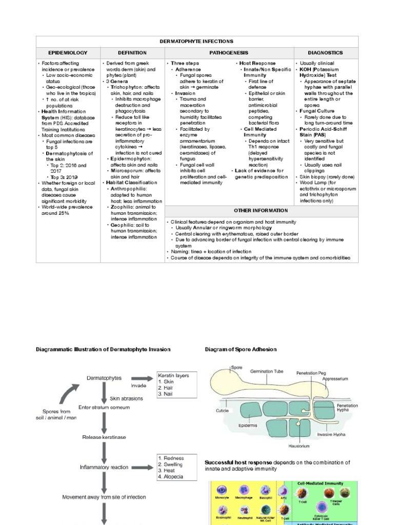 Fungal Infections | PDF | Immunology | Medical Specialties