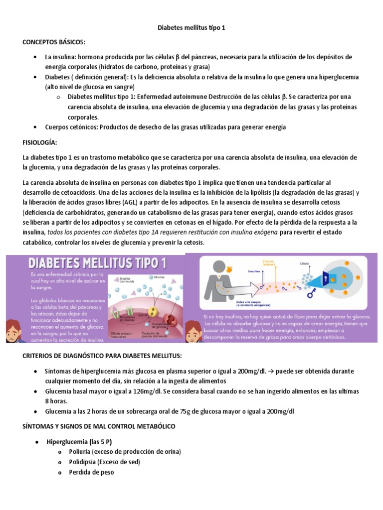 Diabetes Mellitus Tipo 1 | PDF | Diabetes | Insulina