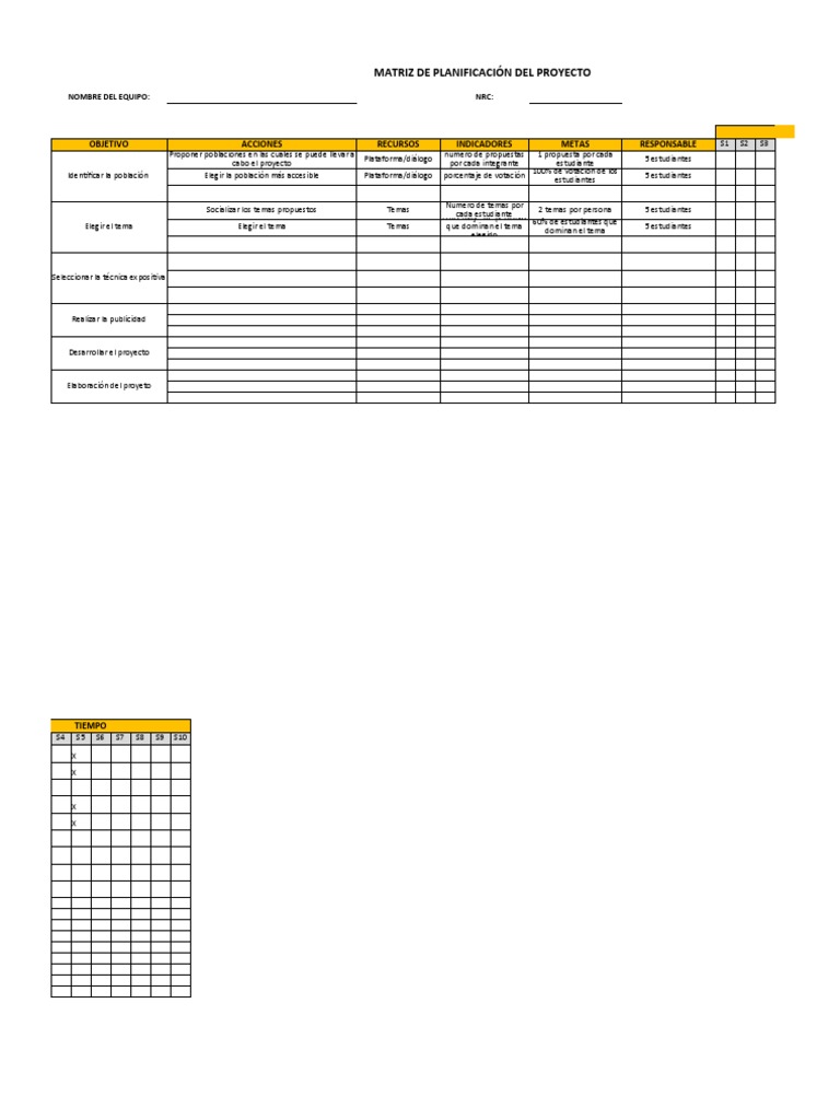 Ejemplos de Matriz de Proyecto | PDF
