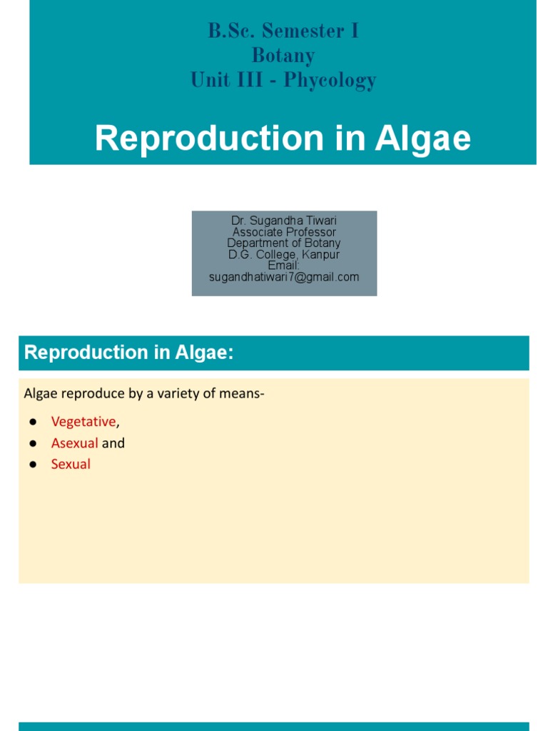 B.Sc. Semester I Botany Unit III - Reproduction in Algae | PDF | Sexual Reproduction | Spore