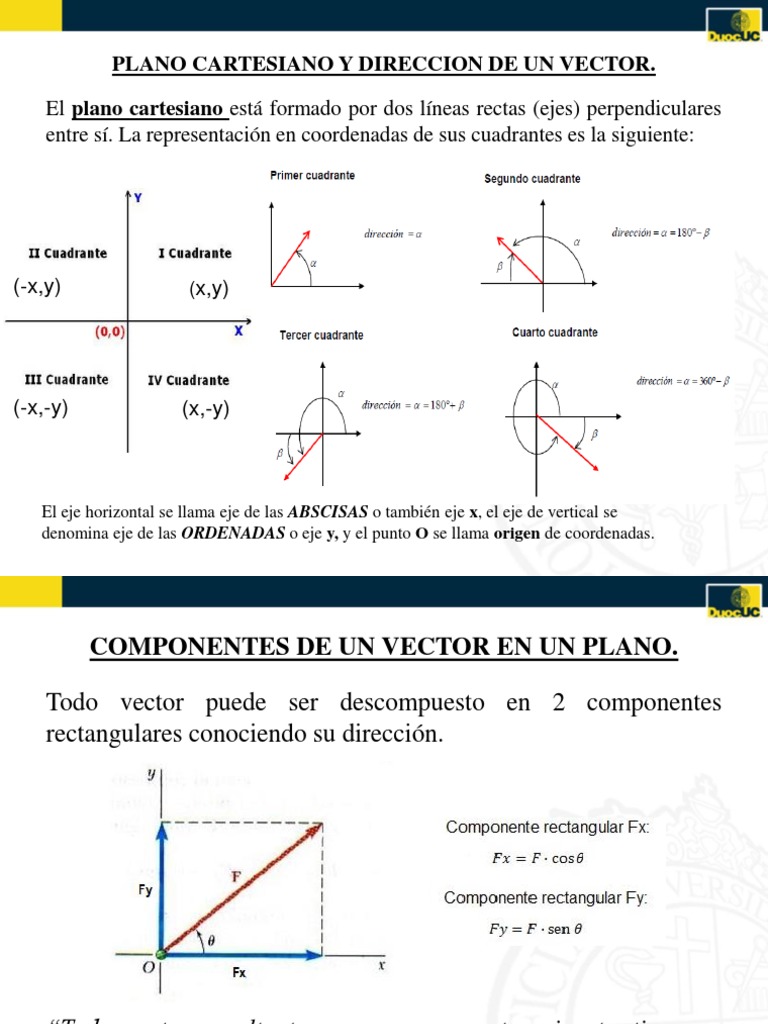 Estructuras Apuntes | PDF | Sistema de coordenadas Cartesianas | Vector ...