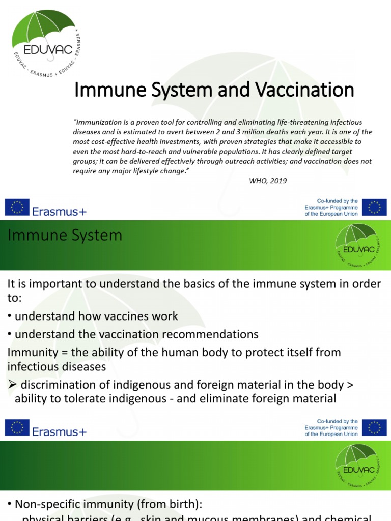 Immune System and Vaccination | PDF | Immune System | Adaptive Immune ...