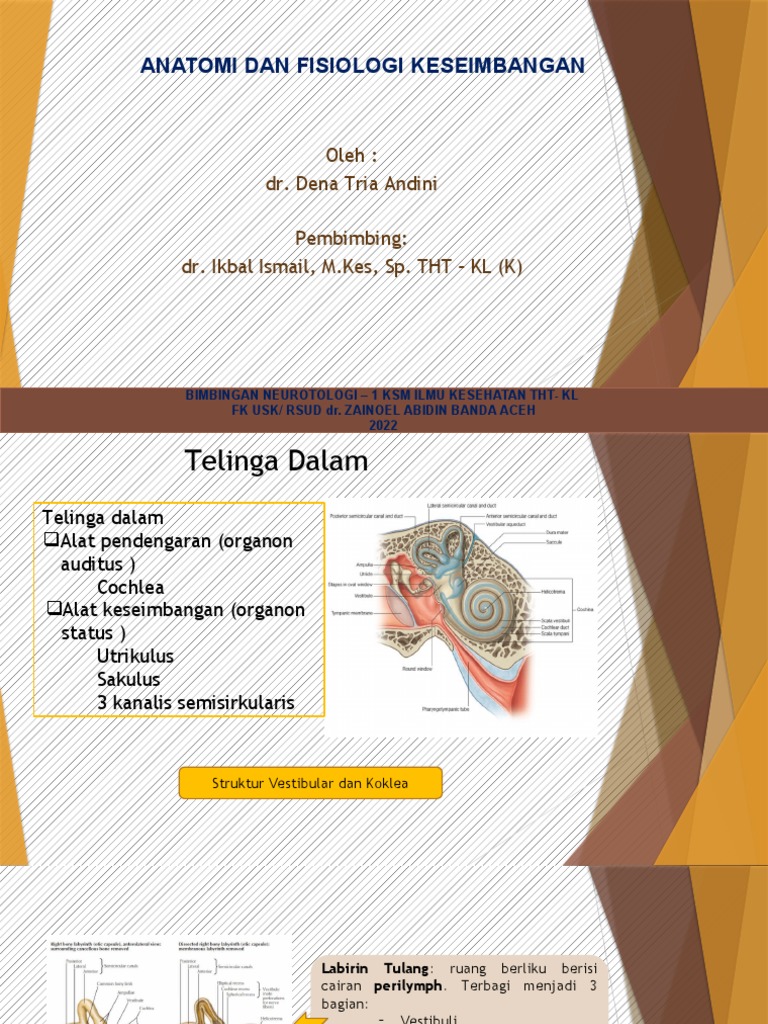 Anatomi Dan Fisiologi Keseimbangan: Oleh: Dr. Dena Tria Andini Pembimbing: Dr. Ikbal Ismail, M ...