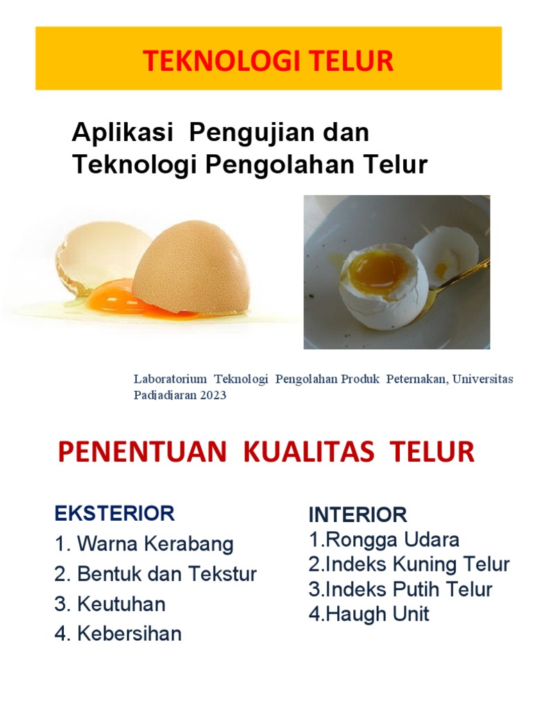 THT - Telur 2 - Aplikasi Pengujian Dan Teknologi Pengolahan Telur (27 - 28 Maret 2023) | PDF