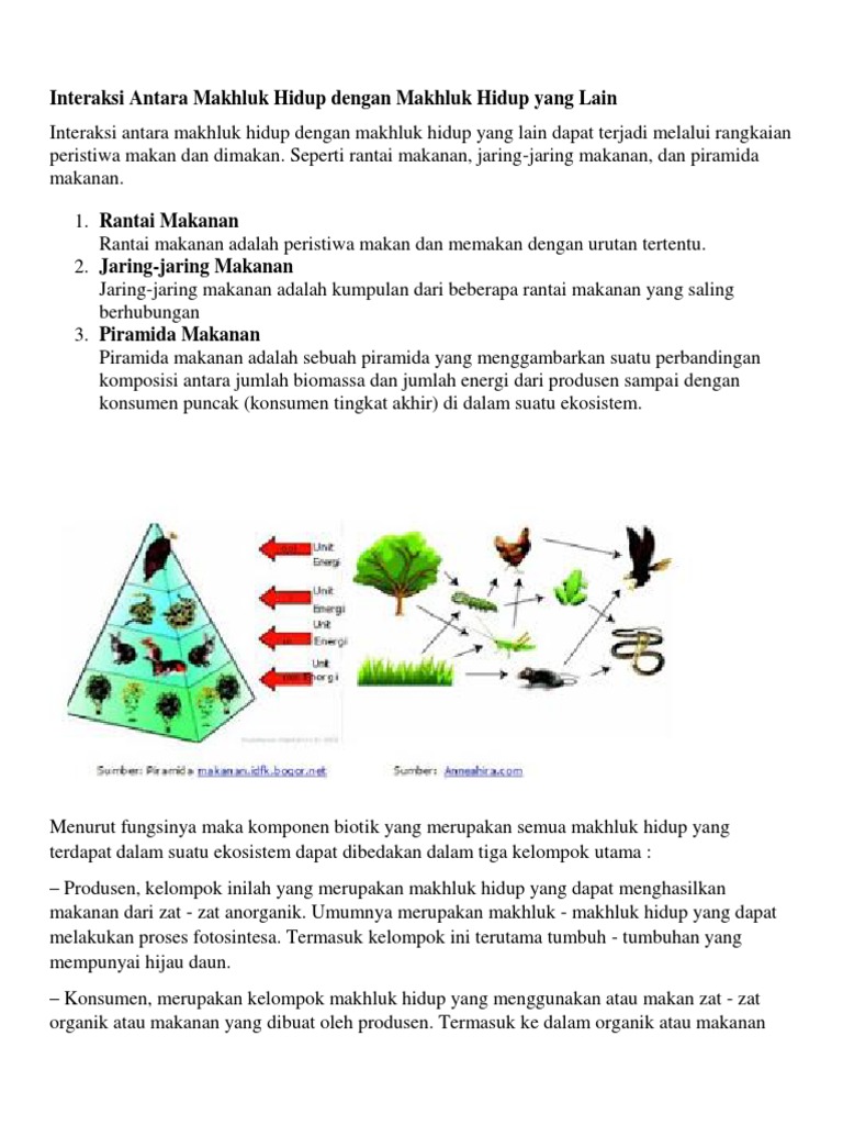 Interaksi Makhluk Hidup dalam Ekosistem | PDF | Kesehatan Holistik ...
