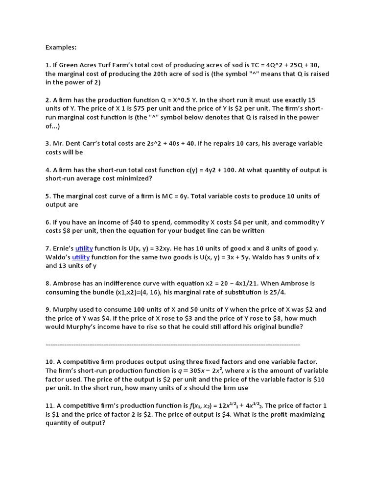 Examples | PDF | Production Function | Economics