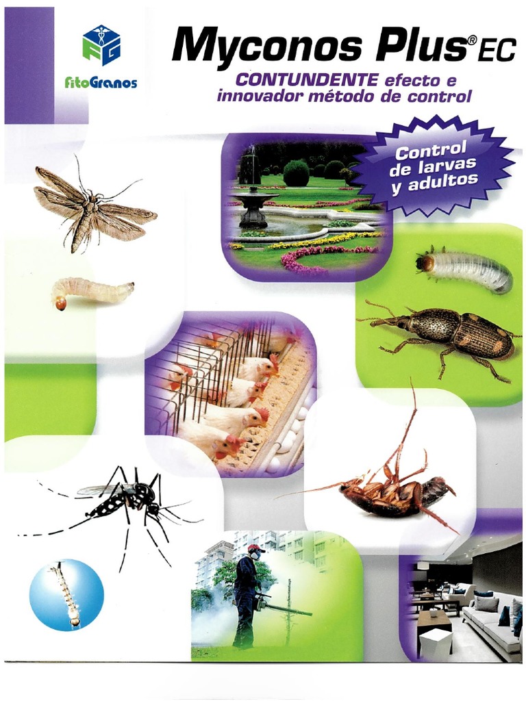 Myconos Ec | PDF