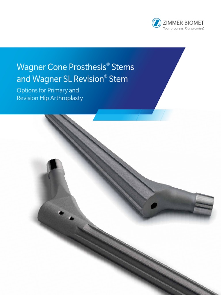 2435.1-GLBL-en - Wagner Brochure-FINAL-v3 | PDF | Hip | Musculoskeletal ...