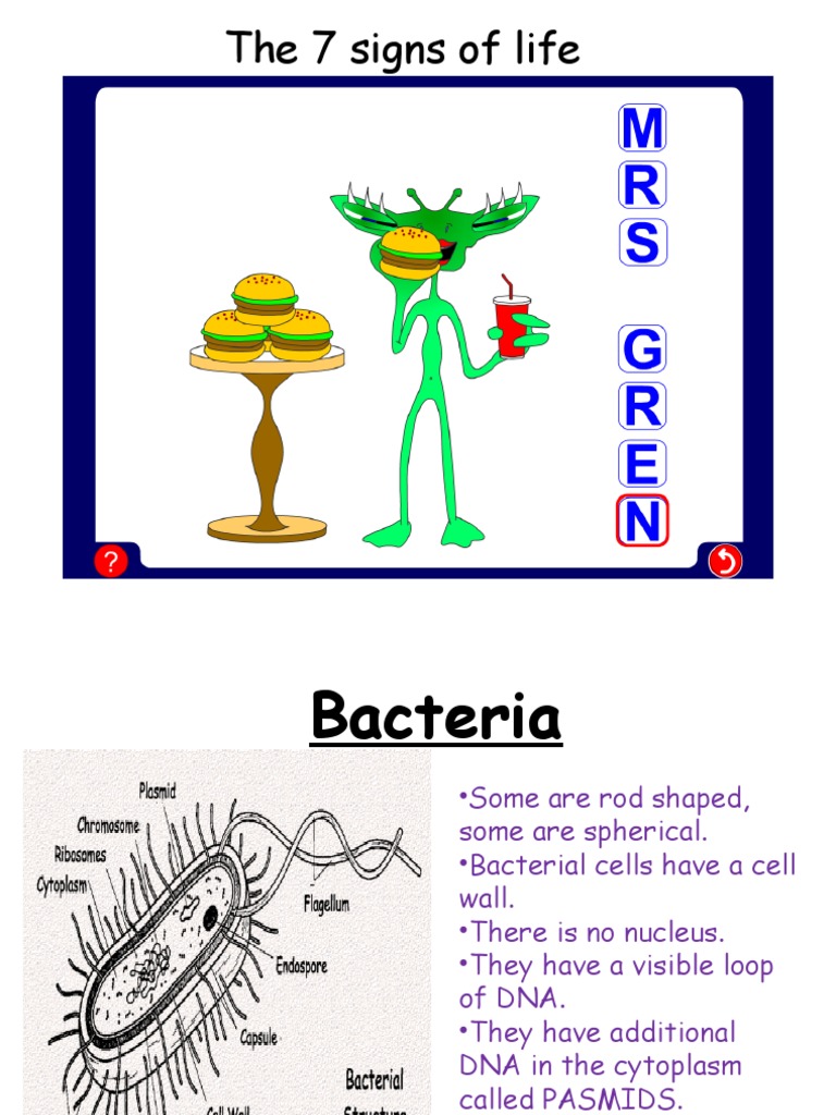 The 7 Signs of Life | PDF | Mollusca | Invertebrate