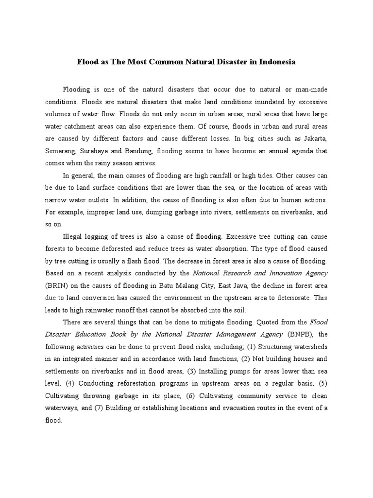 Report Text - Flood | PDF