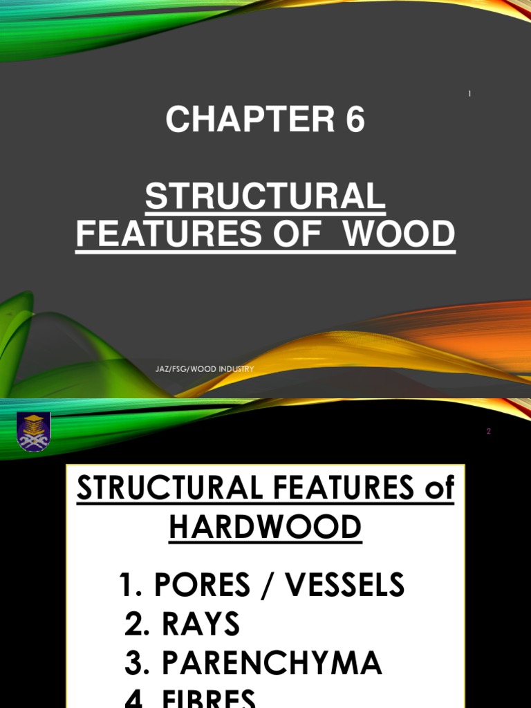 Chapter 6 Part 3 | PDF | Wood | Anatomy