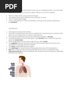 Respiratory System Worksheet | PDF | Lung | Breathing