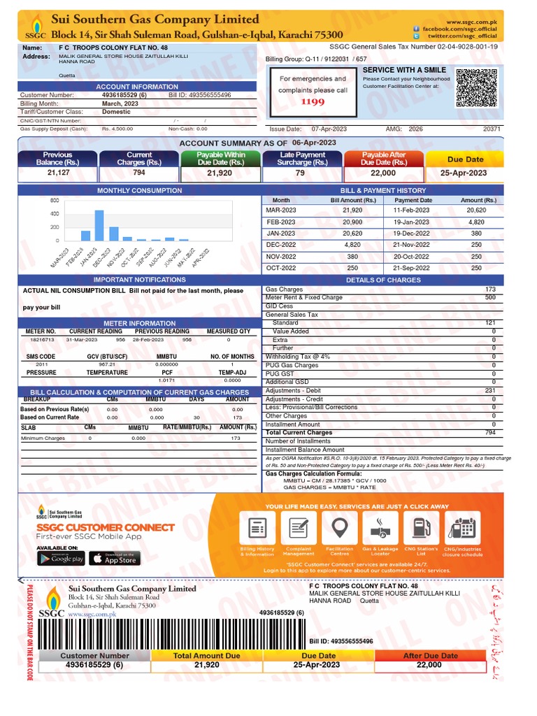 March, 2023 Domestic: Customer Number: Billing Month: Tariff/Customer ...