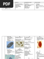 Parasitology Egg Identification Guide | PDF