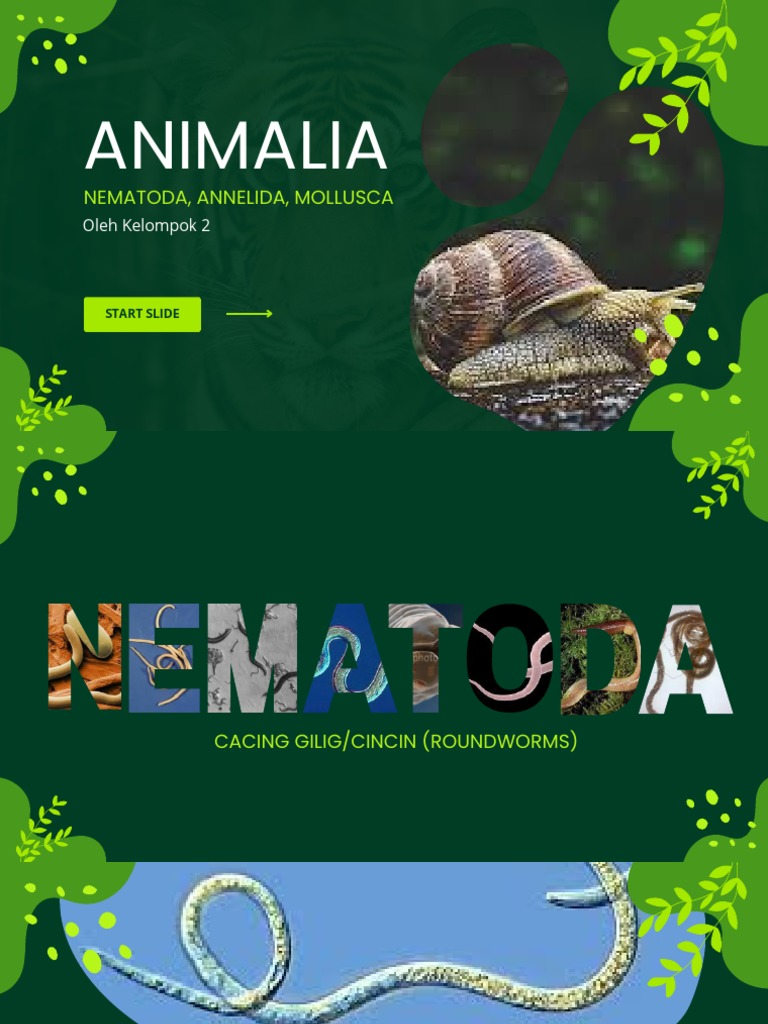 PPT Nematoda, Annelida, Mollusca | PDF