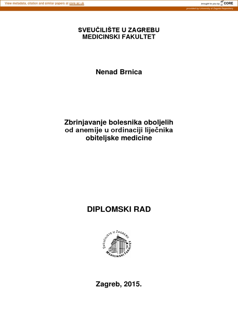 Nenad Brnica: Diplomski Rad | PDF