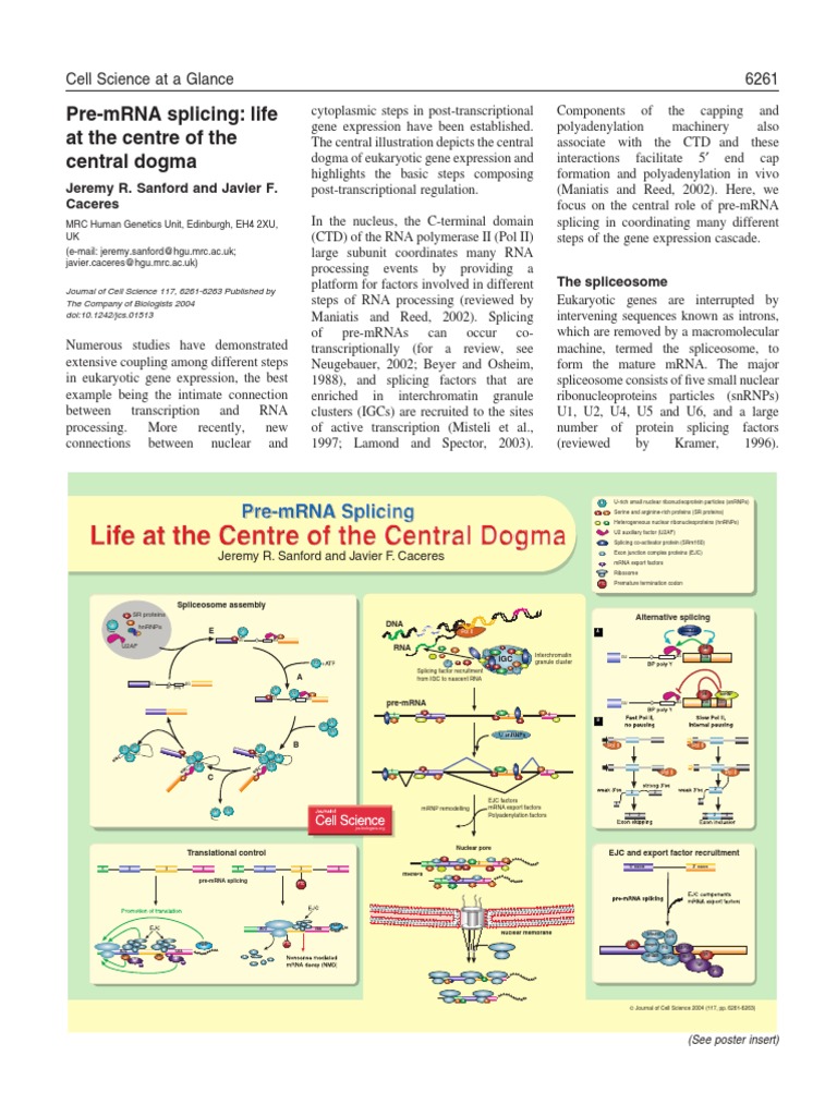 Pre-mRNA splicing life at the centre of the central dogma | PDF ...