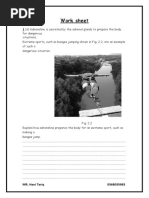 Worksheet 2 - Direct Proportions - 1 | PDF
