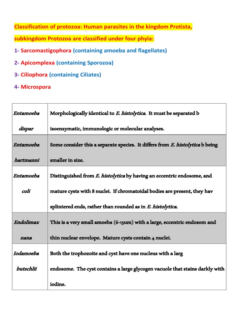 Entamoeba Dispar E. Histolytica Entamoeba Hartmanni E. Histolytica ...