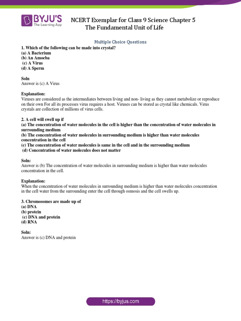 Multiple Choice Questions and Answers on the Structure and Functions of ...