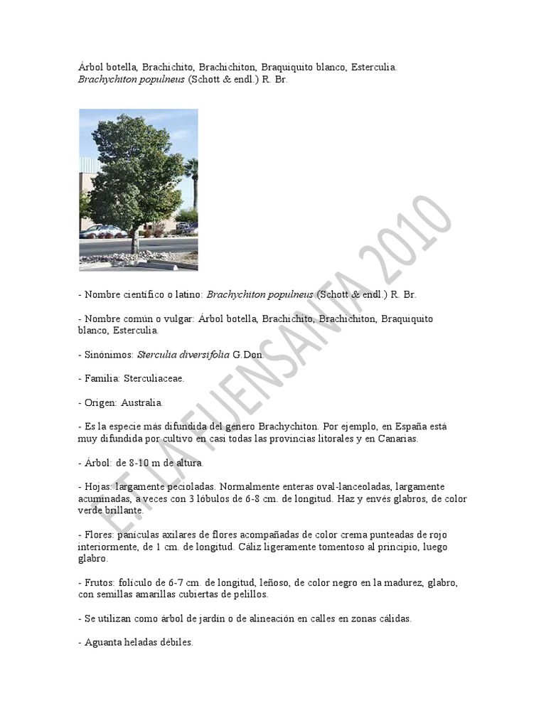 Árbol Botella | PDF