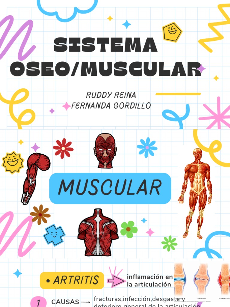 Sistema Oseo/Muscular: Ruddy Reina Fernanda Gordillo | PDF | Osteoporosis | Síntoma