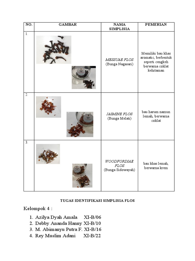 Simplisia Flos Kelompok 4 | PDF