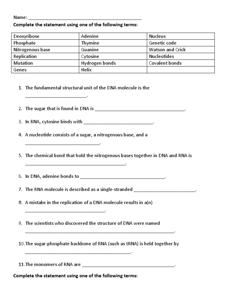 DNA and RNA Comparison Worksheet | PDF | Rna | Dna