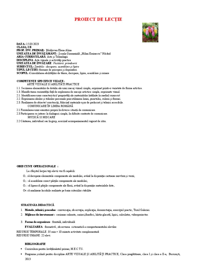 14 Proiect de Lectie Avap | PDF