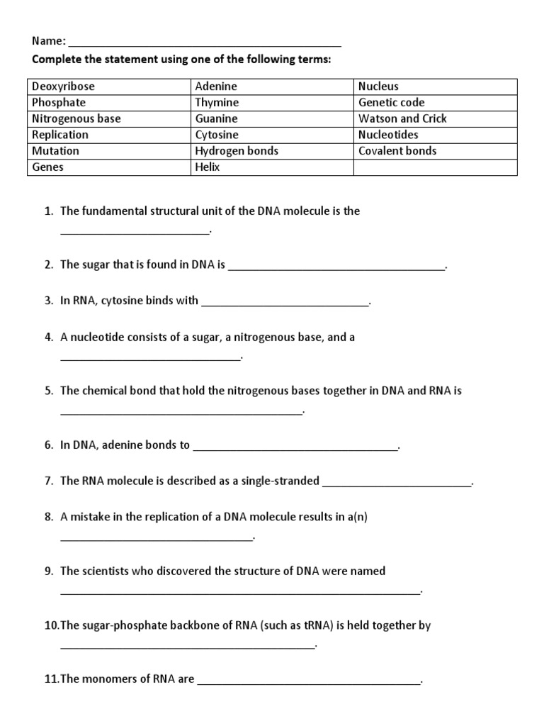 DNA and RNA Structure Worksheet | PDF | Rna | Dna